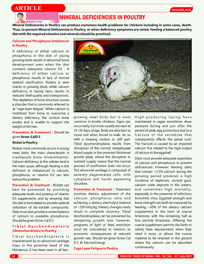 Minerals Deficiencies in Poultry Published in Poultry Times of India ...