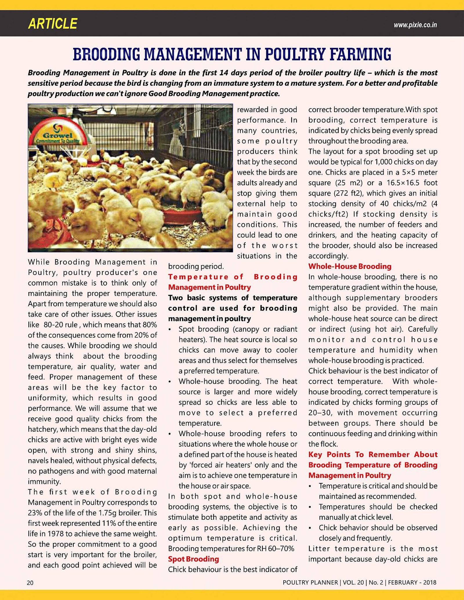 Brooding Management in Poultry Farming ,Article Published in Poultry ...